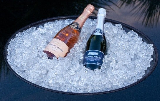 Oriflamme Ice Bucket Insert – All Backyard Fun